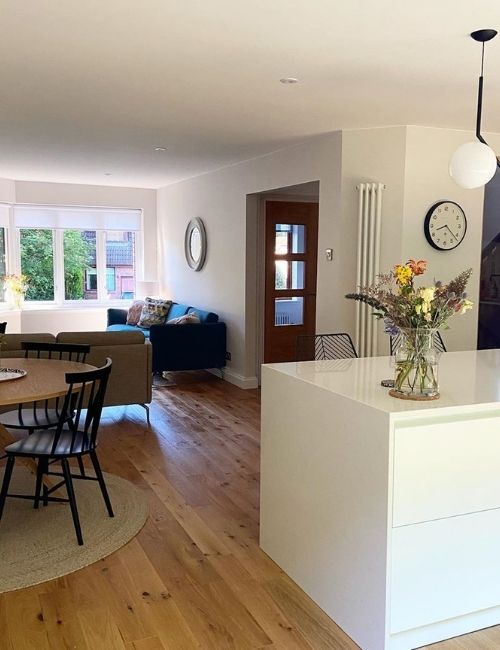 75 Living Room Radiator Ideas