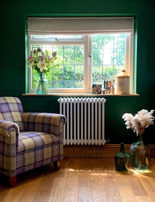 75 Living Room Radiator Ideas