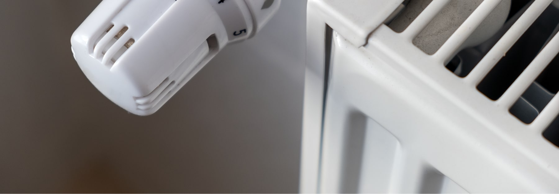 BestHeating best buddies - Rad tails | BestHeating Advice Centre