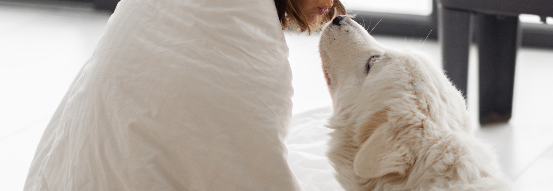 How to keep pets warm in winter | BestHeating Advice Centre